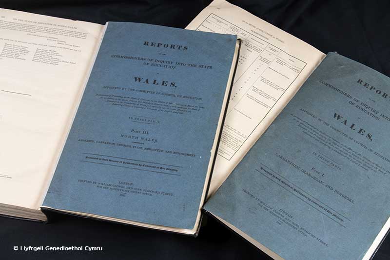 Brad y Llyfrau Gleision | Mwy o Stori'r Iaith